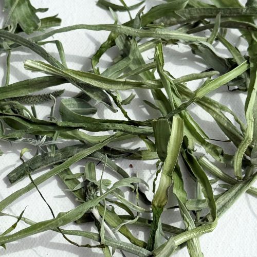 Edible Leaves – Freeze Dried Sea Bucks Horn – Food Grade